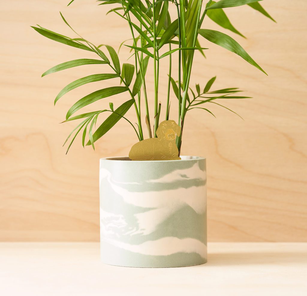 Déco pour plante - Teckel ⸱ Another Studio | Songes